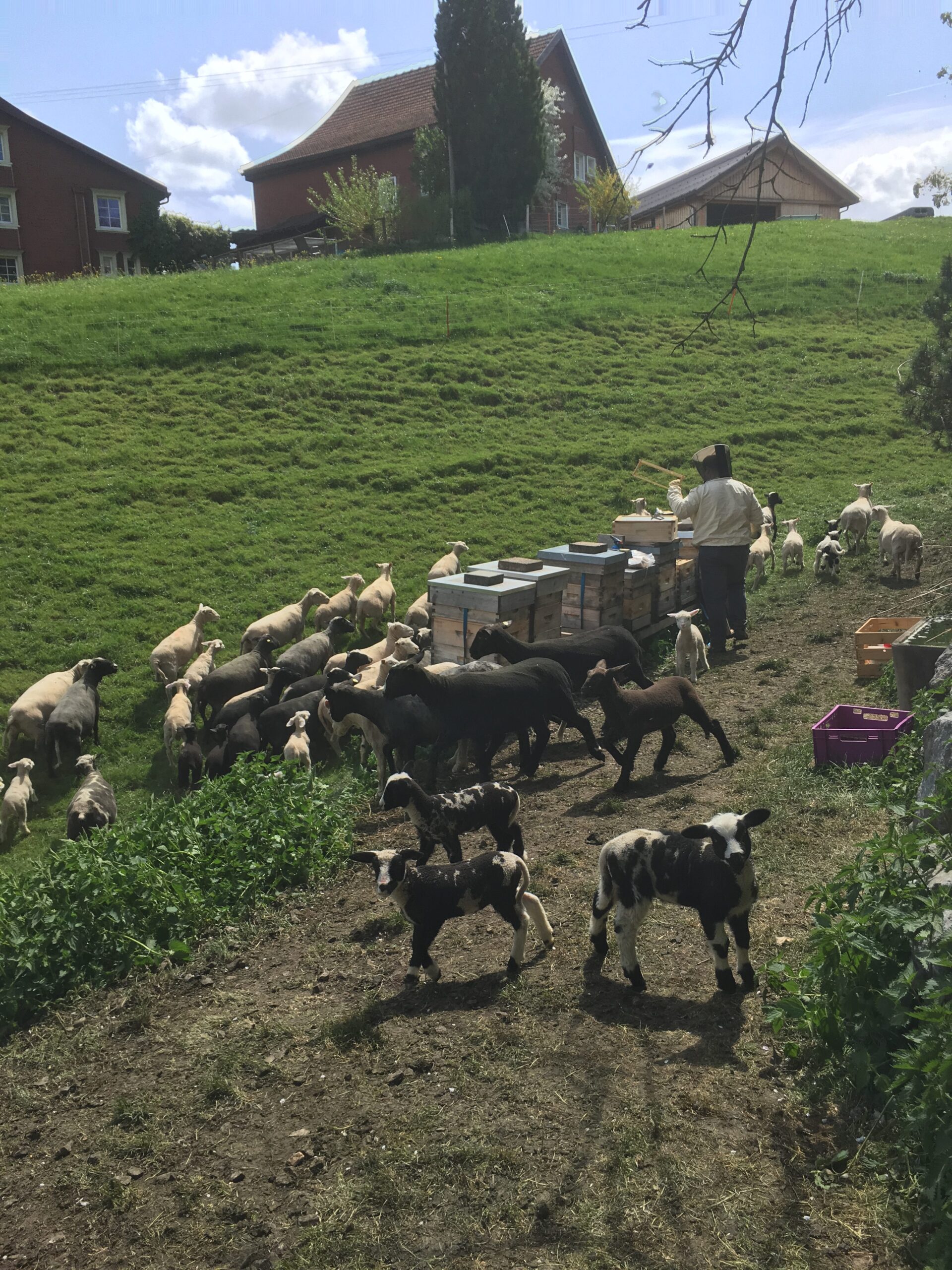 Interessierte Besucher am Standort Speicher